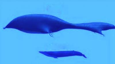 Deep dive: Let’s never forget the Bloop