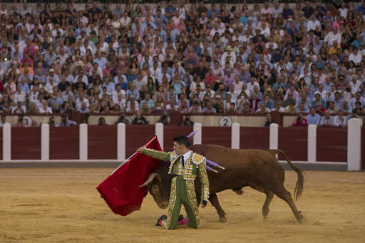 Spain's bull fighting tradition is running into controversy