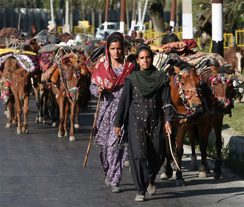 A glimpse into the life of some unlikely nomads from Kashmir